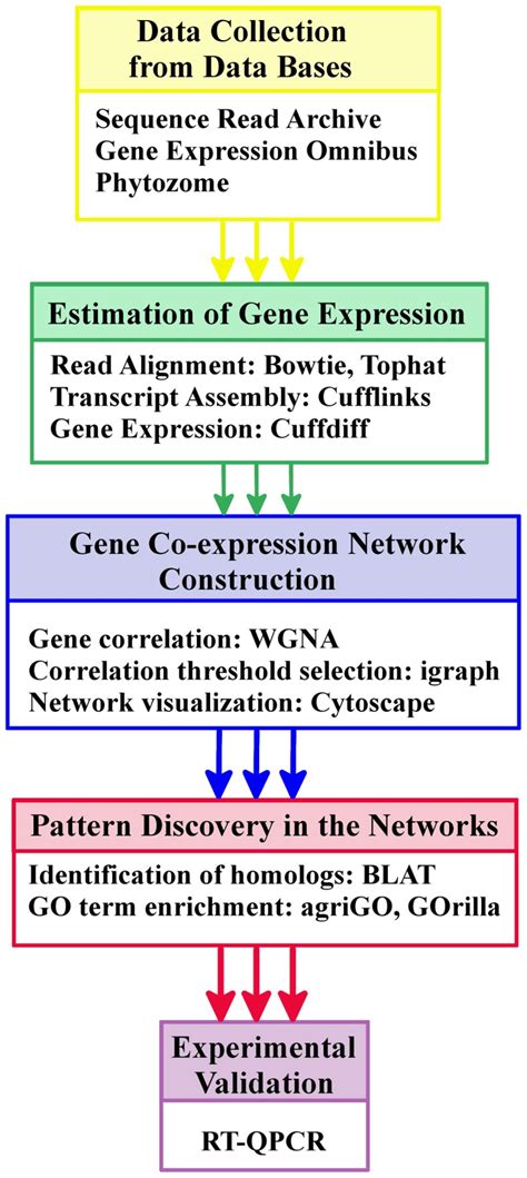 Schematic Workflow Including Data Collection And Processing As Well As