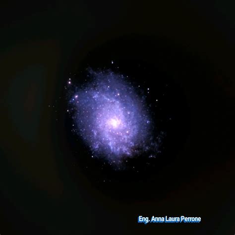 Reposting This Picture I Took Anna Laura Perrone