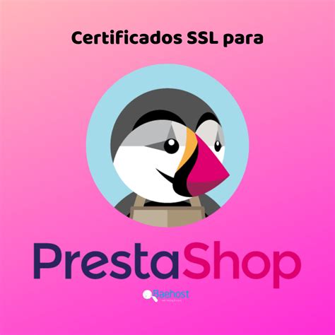 Cómo configurar SSL en Prestashop BAEHOST com Nuestro Blog