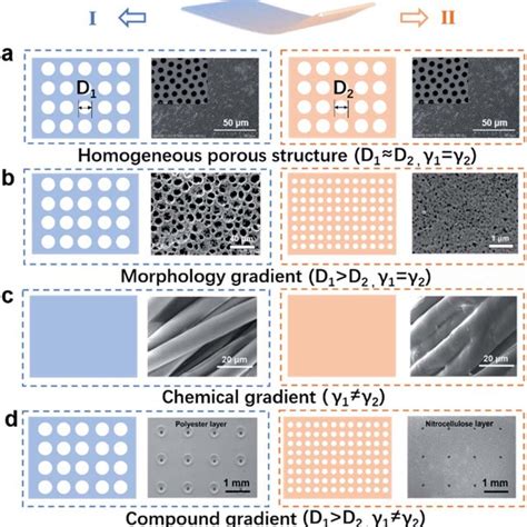 Models And Examples Of Monolayered Porous Membranes With Different Download Scientific Diagram