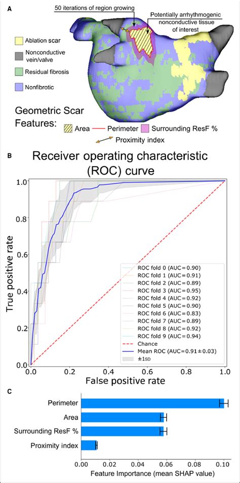 Summary Of Nonconductive Tissue Arrhythmogenicity Rdf Prediction