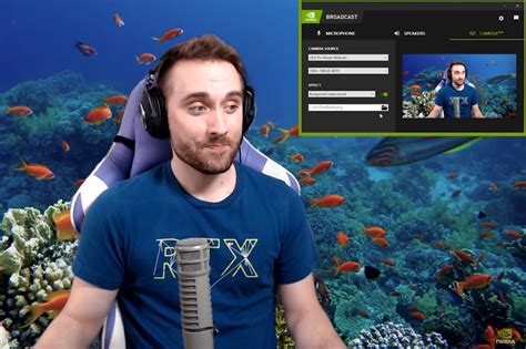 Does Nvidia Broadcast Affect Fps Windowsjoker