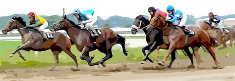 Bug Boy Brilliance Apprentice Jockeys And Mark Paddock Punter