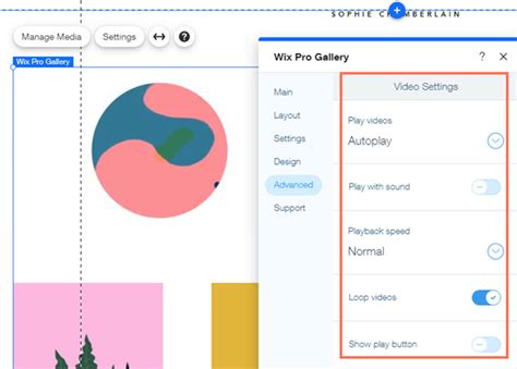 Wix Pro Gallery Customizing Video Settings Help Center