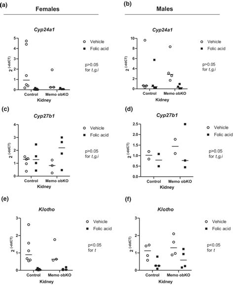 renal gene expression patterns in aki the renal transcripts cyp24a1
