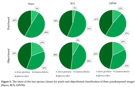 the share of the tree species classes for pixel and object based