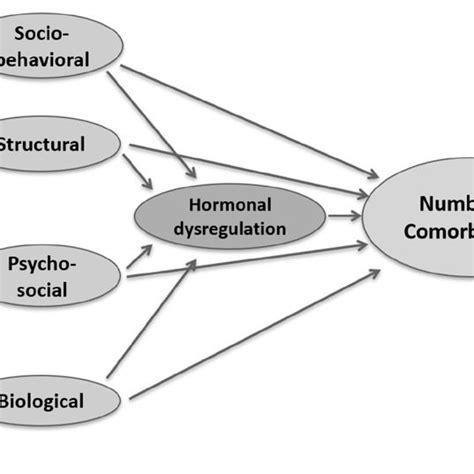 latent variable structural model structural equation modelling will