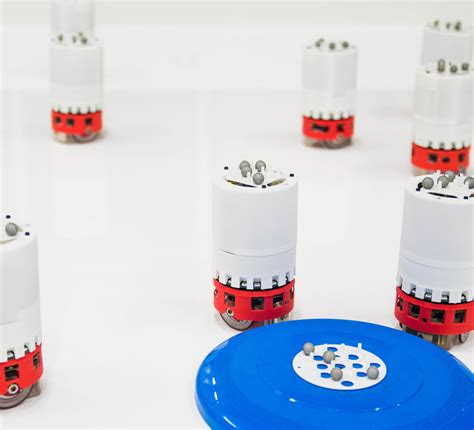 Bioinspired Robots Can Now Learn To Swarm On The Go