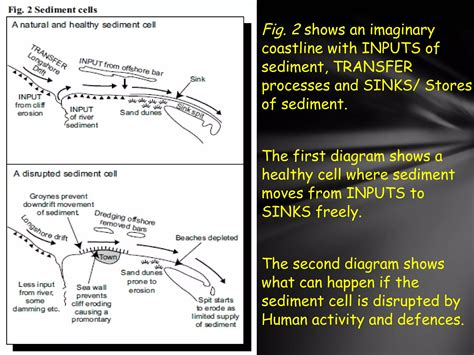 Sediment Cell Lesson 10 Ppt
