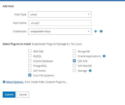 SnapCenter Integration For SAP ASE Database