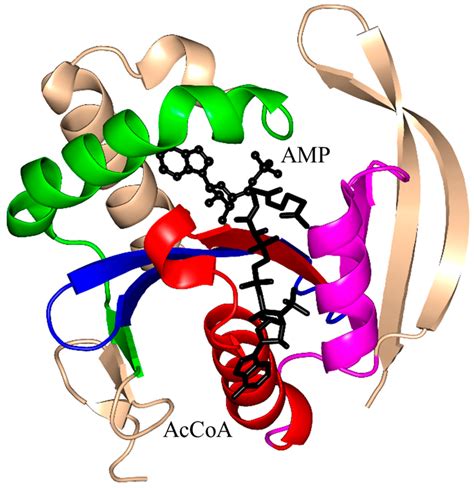 Ijms Special Issue Enzyme Inhibitor Interaction As Examples Of Molecular Recognition