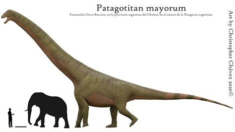 Artstation Size Patagotitan Mayorum