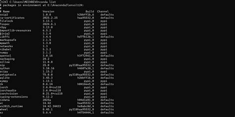 Pytorch Gpu版本260环境包列表（亲测兼容可用，教程如何解决包冲突与选择包版本、可用的源文件，一步到位解决环境问题）pytorch 260 Csdn博客