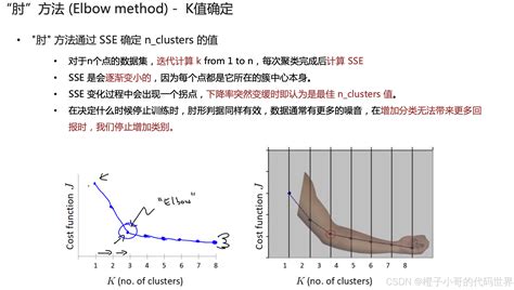 【机器学习】【kmeans聚类分析实战】用户分群聚类详解——sse、ch 指数、sc全解析，实战电信客户分群案例 kmeans sse csdn博客