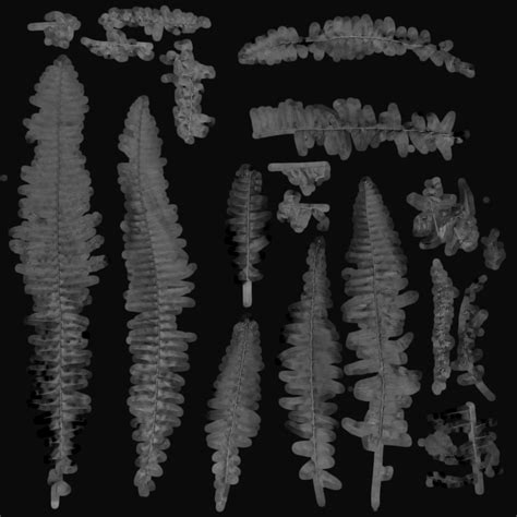 Deform Instance Geometry Along Path For General Questions Exlevel Forum