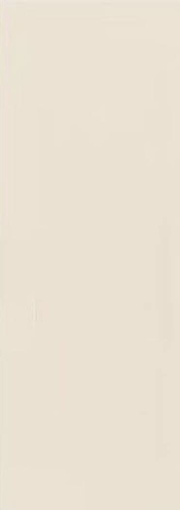 Primed Flush Exclusive Door