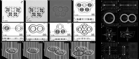 Neumatic Liquid Collision Iaac Blog
