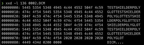 Cve 2023 33466 Exploiting Healthcare Servers With Polyglot Files R