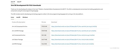 Java运行环境的搭建（以win11为例）java Win11 Csdn博客