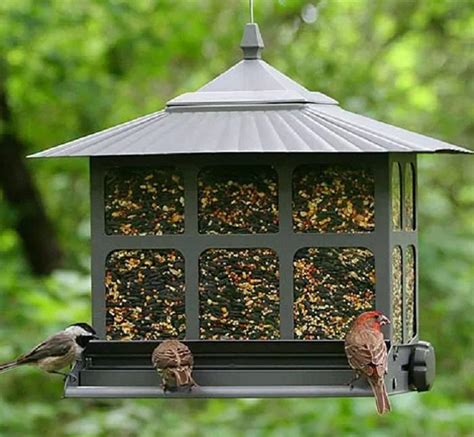 Top 5 Squirrel Proof Bird Feeders For Your Garden