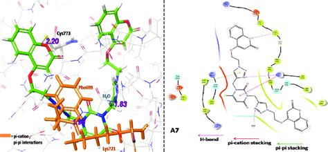 Three Dimensional 3d And Two Dimensional 2d Binding Interaction Of