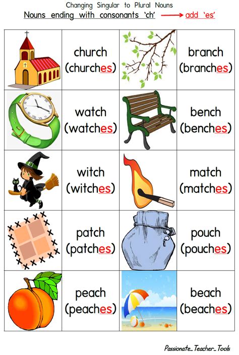 Passionate Teacher Tools Singular And Plural Nouns Charts And Quiz