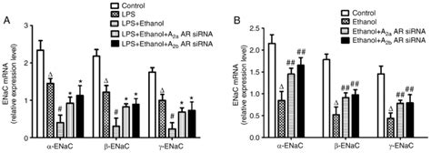 Quantification Of α Enac β Enac And γ Enac Gene Expression Using Download Scientific Diagram