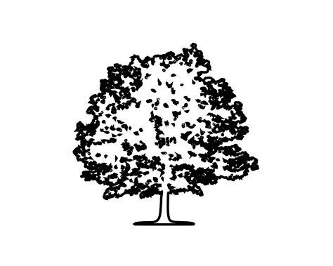 Tree Outline Svg Tree Clipart Tree Vector Tree Clipart Etsy