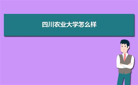四川农业大学怎么样口碑评价好不好 高考助手网