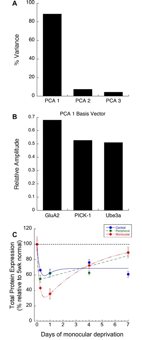 Principal Component Analysis The Percent Variance Captured By Each