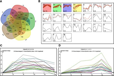 Analysis Of The Time Dependent Gene Expression Patterns In Tbi Using Download Scientific