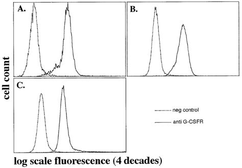 Detection Of The G Csfr In Flow Cytometry Analyses Expression Of The