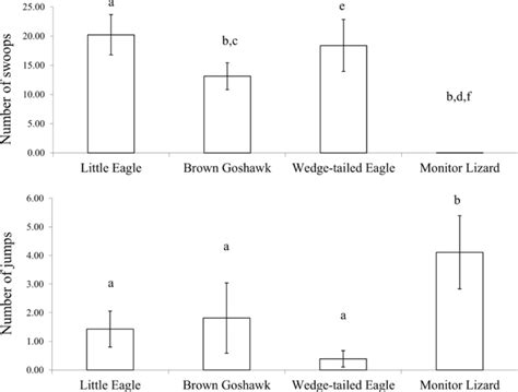 Agonistic Behaviour Agonistic Behaviour Elicited By The Model