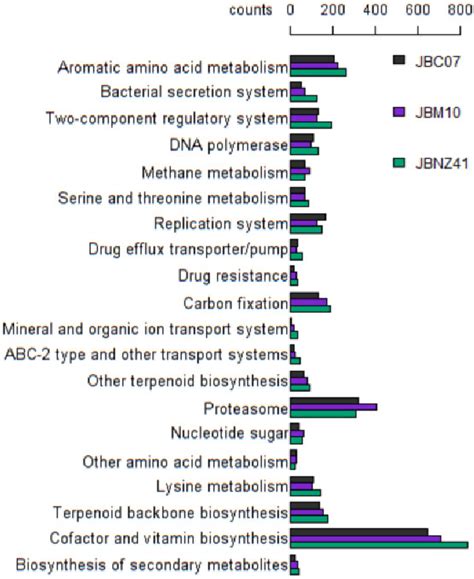 Gene Count Based On The Kegg Hierarchy Functional Assignment Only
