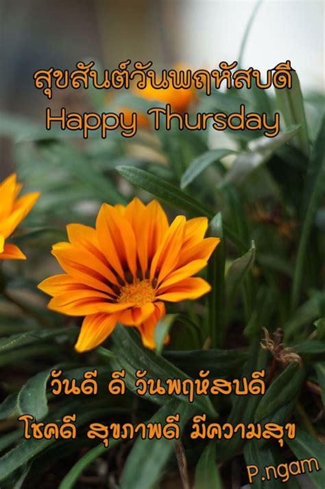 วันพฤหัสบดี