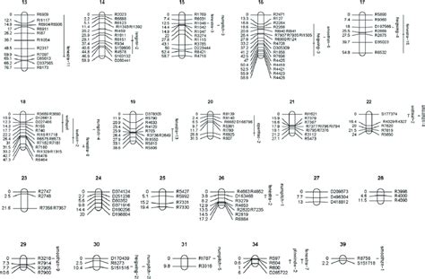Linkage Groups With Qtls Mapped Continued From Fig 1 Linkage Groups