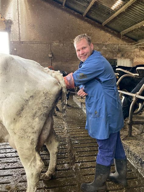 Vijf Vragen Aan Inseminator Bas Kroon ‘voor Een Inseminator Is Iedere