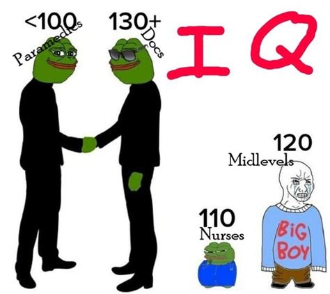 Meme Medical Hierarchy Rems