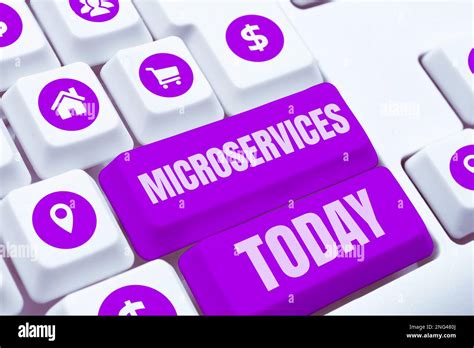 Conceptual Display Microservices Business Overview Software