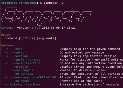 how to install and use composer on ubuntu cherry servers