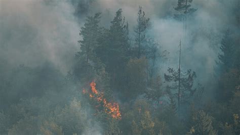 Wildfire Suppression Bilder Durchsuchen 2110 Archivfotos Vektorgrafiken Und Videos Adobe