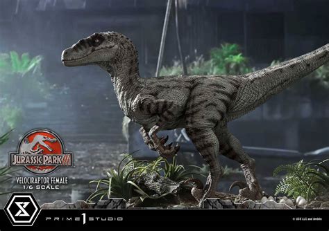 Legacy Museum Collection Jurassic Park 3 Velociraptor Female