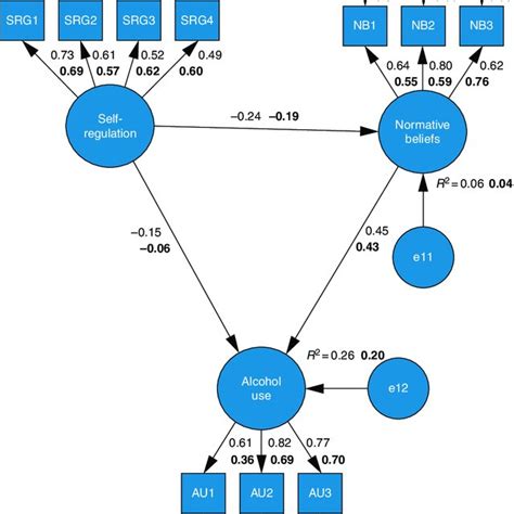Path diagram for the model N ¼ males and females Download Scientific Diagram