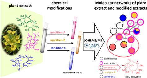 Journal Of Natural Products Acs Publications