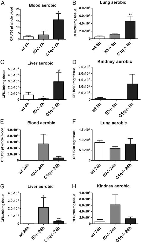 Figure 5 From Response During Sepsis Activation Pathway For The Innate
