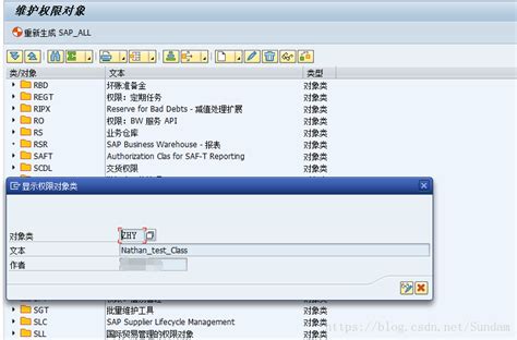 sap 创建自定义的权限对象 sap 权限对象 csdn博客