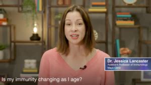 The Immune System And Aging Immunology Explained