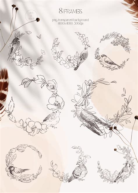 FOREST BIRDS Sketches Collection By Yuliia Lashevska TheHungryJPEG