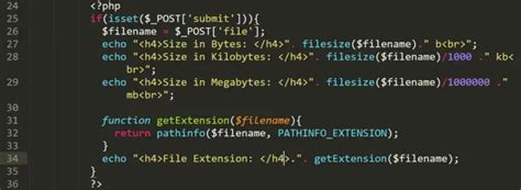 Get File Size And File Extension In PHP Free Source Code And Tutorial INetTutor Com