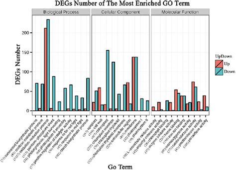 Functional Classification Of Assembled Unigenes Based On Gene Ontology